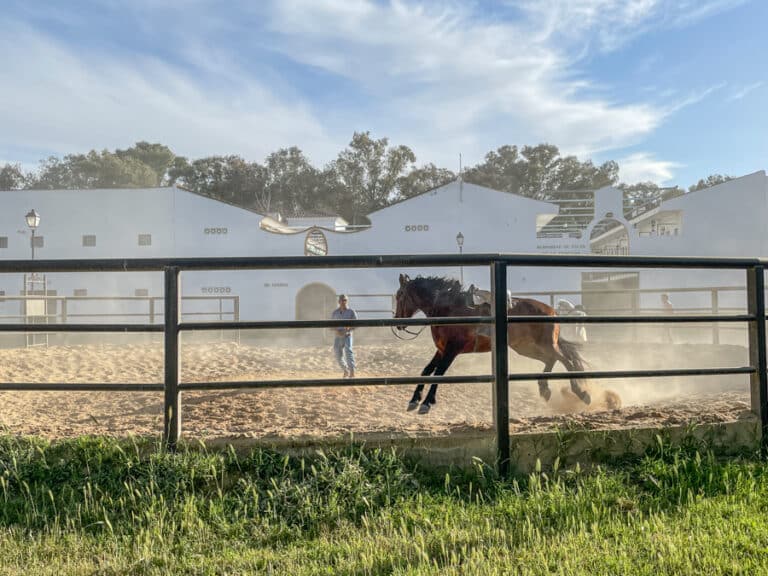 Visiter El Rocio : le village le plus authentique d'Andalousie