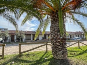 Visiter El Rocio : le village le plus authentique d'Andalousie