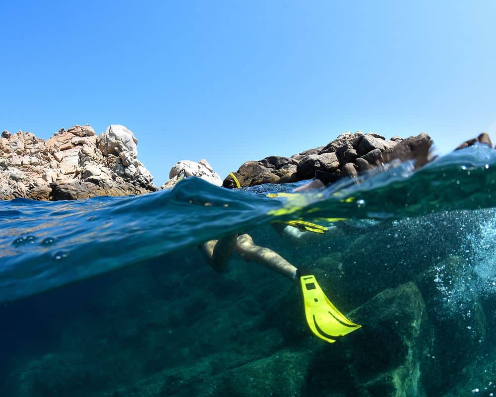 Visiter Estepona et les environs : Le joyau de la Costa del Sol.